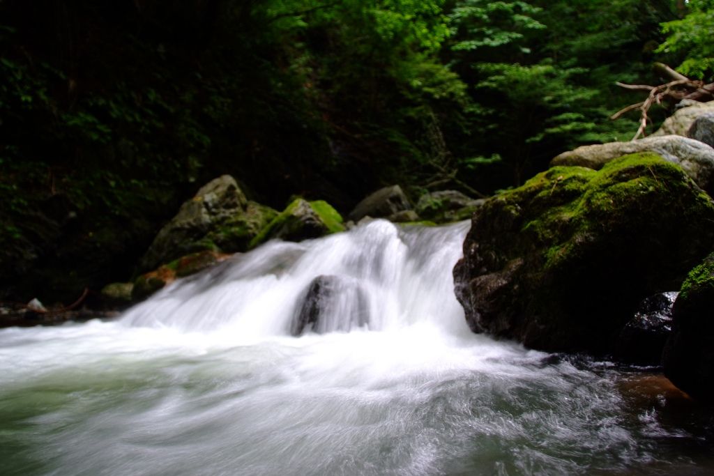 涼しいところ : 12星座を楽しもう