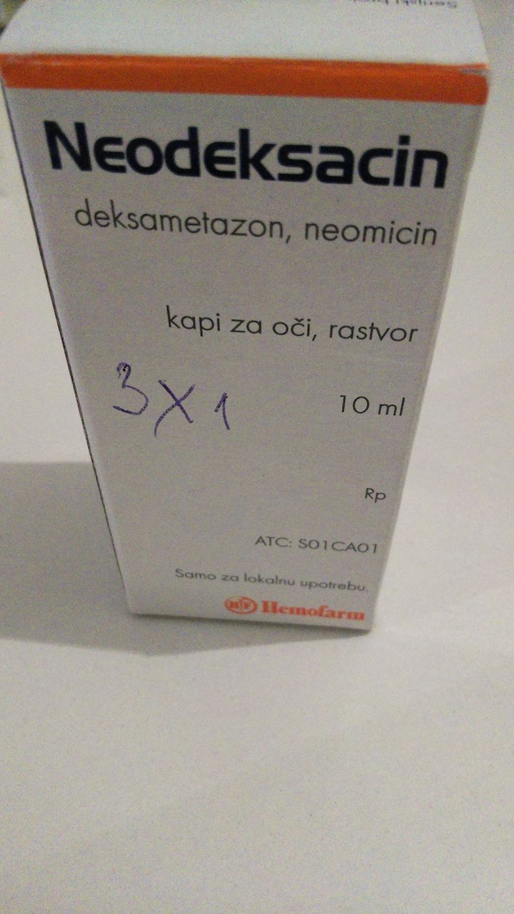 セルビアと日本と映画のblog