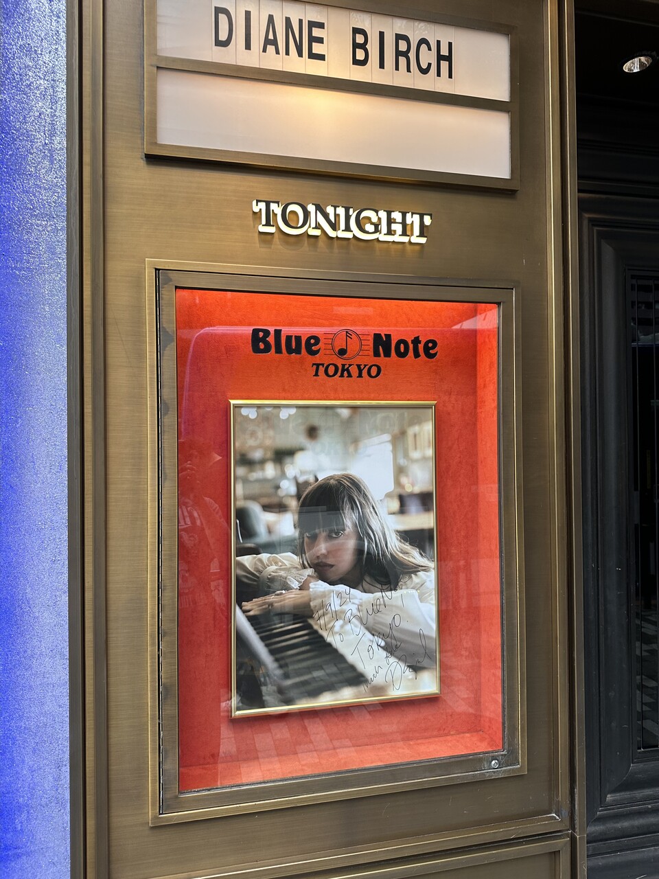 DIANE BIRCH : Heart Of Steel
