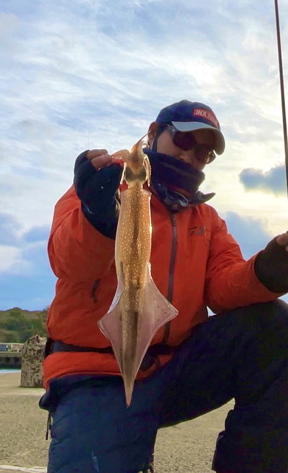 【Bee Tesller 2nd × ヤリイカ】 : TODAYS FISHING