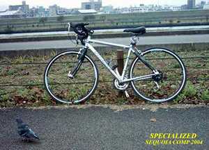 Specialized Sequoia Compから S-WORKSへ : February 2004