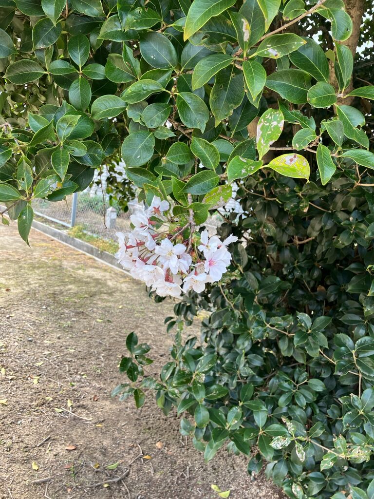 実況GPT★ : Hiro Link