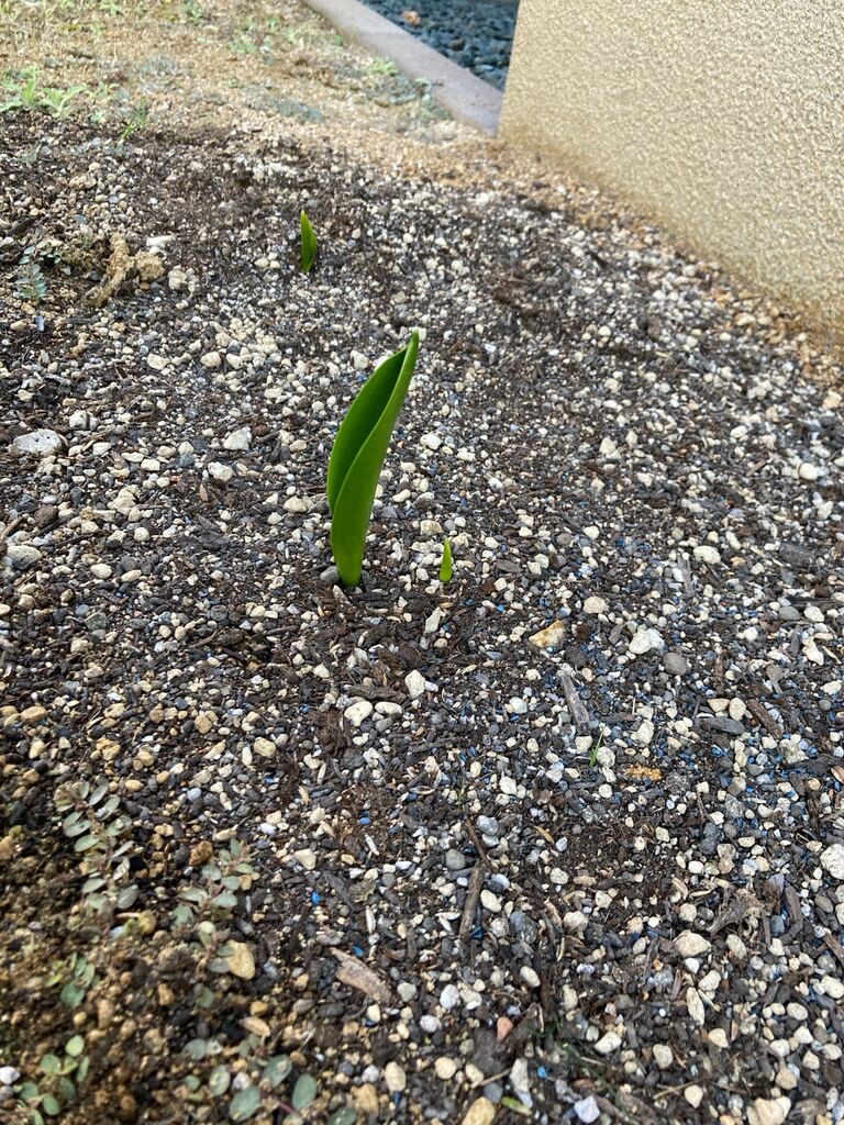 実況GPT★ : Hiro Link