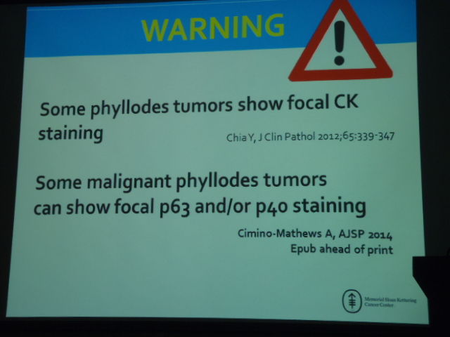 南に吹く風 : SGH Breast Pathology Course 2014 (2)