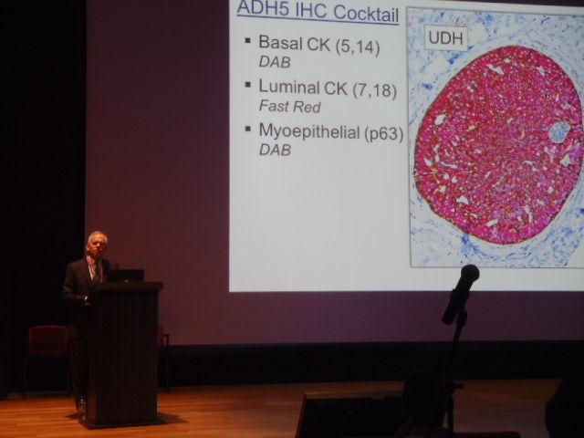 南に吹く風 : 6th SGH Breast Pathology Course 2015