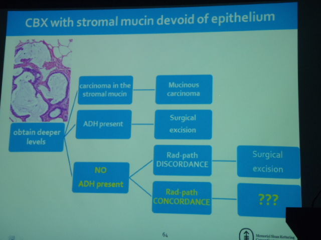 南に吹く風 : SGH Breast Pathology Course 2014 (2)