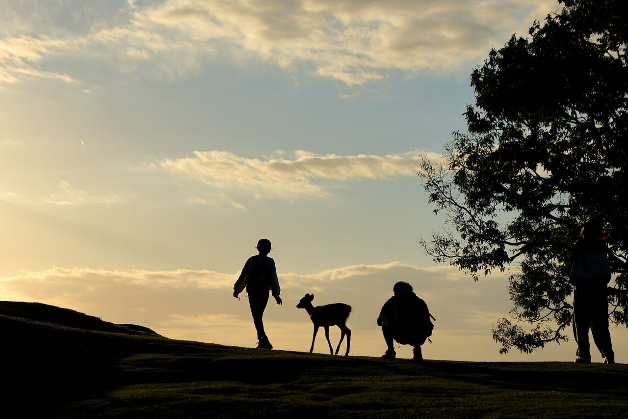 若草山で夕景 : 四季に恋して けいさんの写真日誌