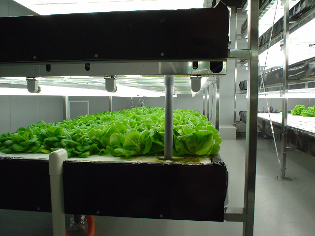 さまざまな体験:PASONA O2（パソナオーツー）