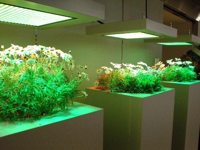 さまざまな体験:PASONA O2（パソナオーツー）