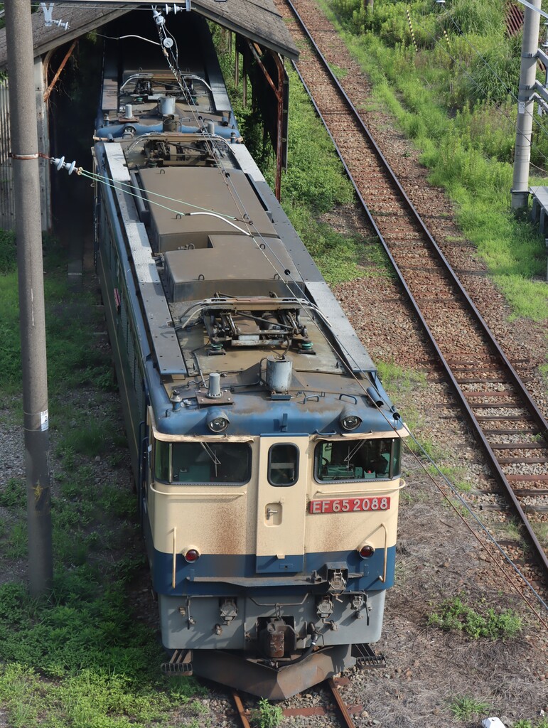 新鶴見界隈1084-2（EF65 2088 + EF65 2086） : 新鶴見通信