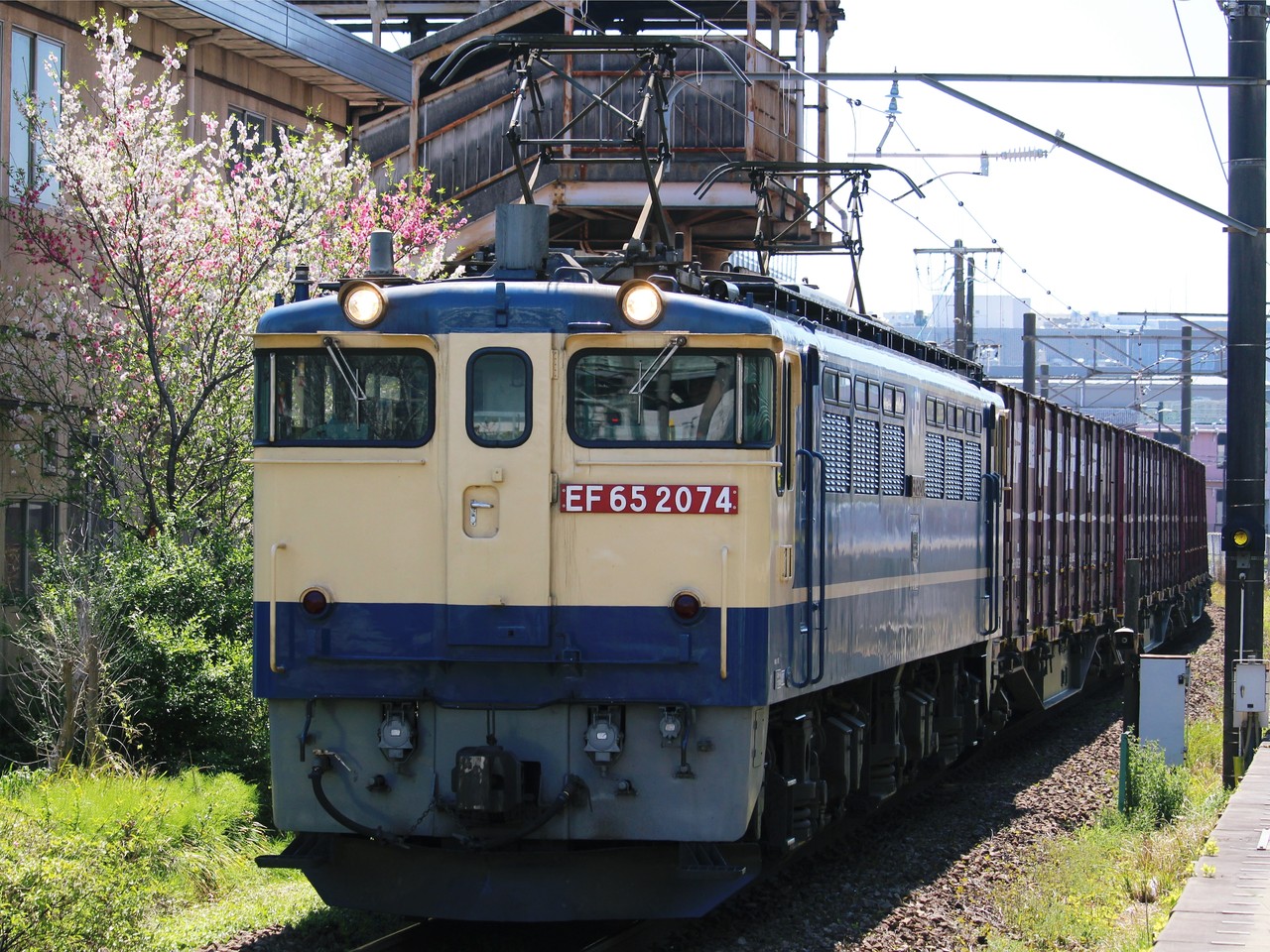 新鶴見界隈791-2（75レ EF65 2101） : 新鶴見通信