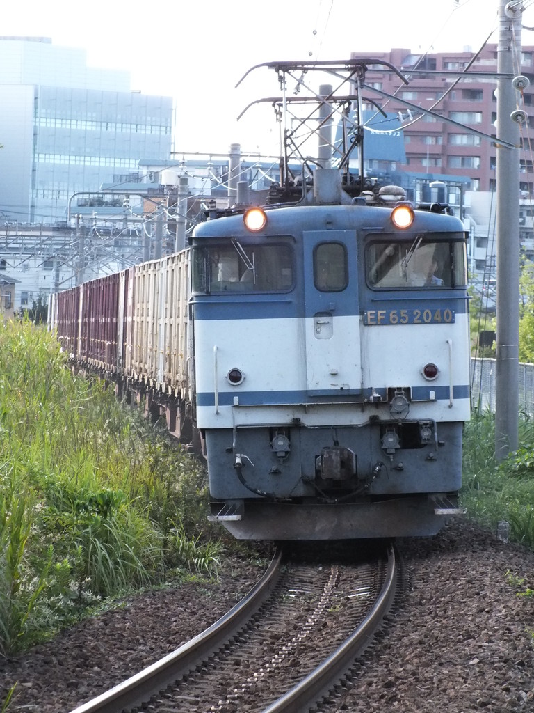 新鶴見界隈 9（EF66 36, EF65 2040, EF66 33, EF65 2050） : 新鶴見通信