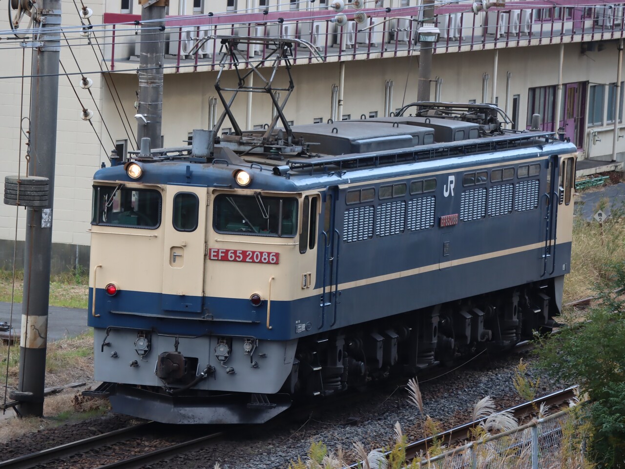 2024年12月27日 : 新鶴見通信