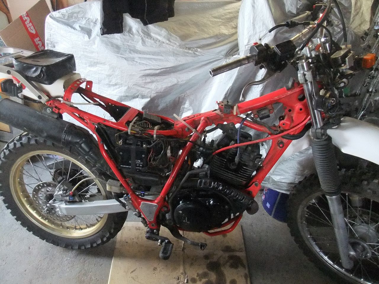 TT225 オリジナルに : Bike 気ままに