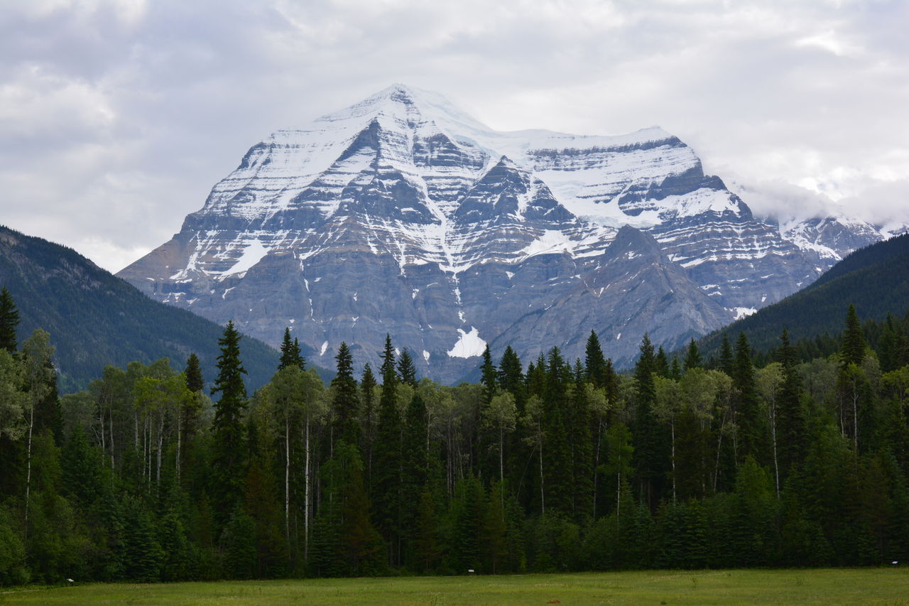 20170604 (第17日目) Mt.Robson～Jasper : 下天の夢が終わらぬうちに