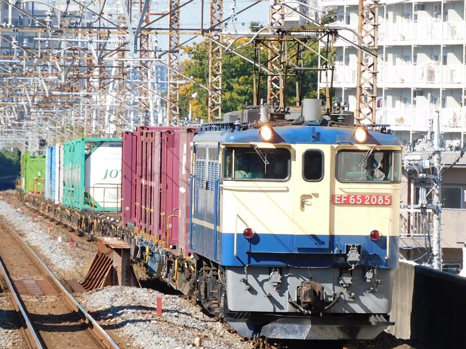 EF65形電気機関車＋EF81形電気機関車（139）＋キヤE195系 - 令和4年11月 : 深徒徒