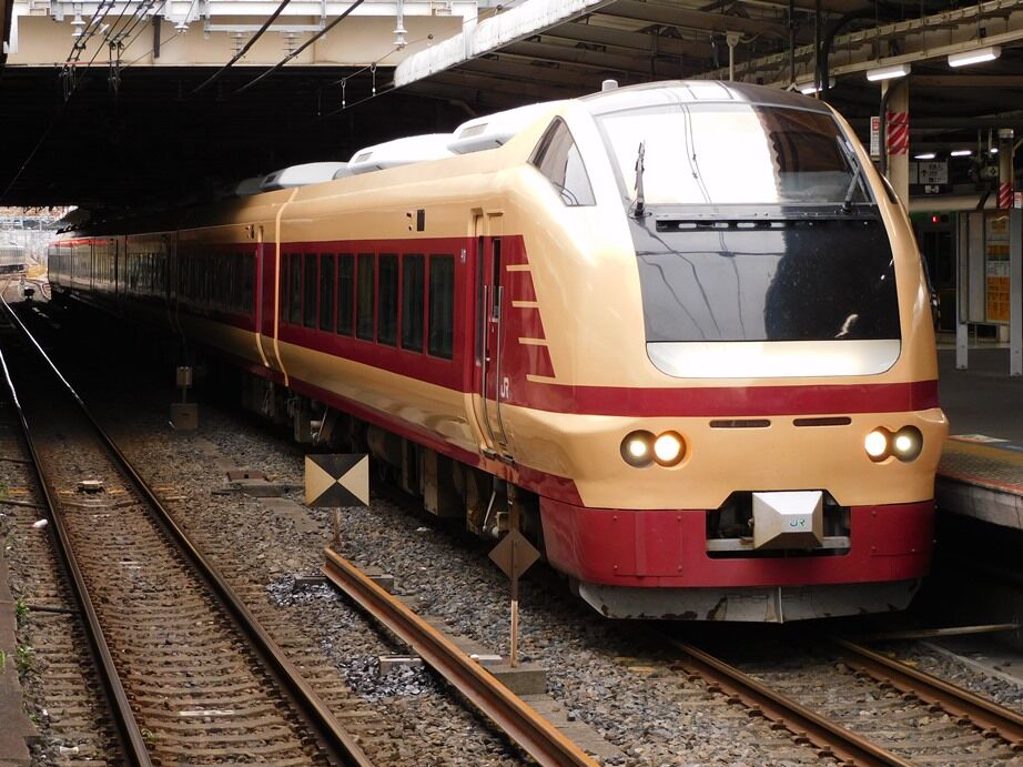 E653系（青の絶景ネモフィラ号）＋E257系OM-55（あしかが大藤まつり1号） - 令和4年5月 : 深徒徒