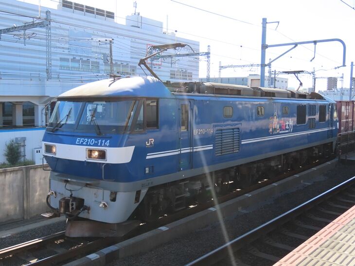 EF66形電気機関車（123）＋EF210形電気機関車（114・121）＋EF65-2089 - 令和6年12月 : 深徒徒