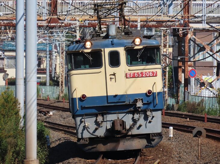EF65-2067＋HD300-6（配給輸送）、EF65-2089（訓練中）、桃太郎 - 令和6年11月 : 深徒徒