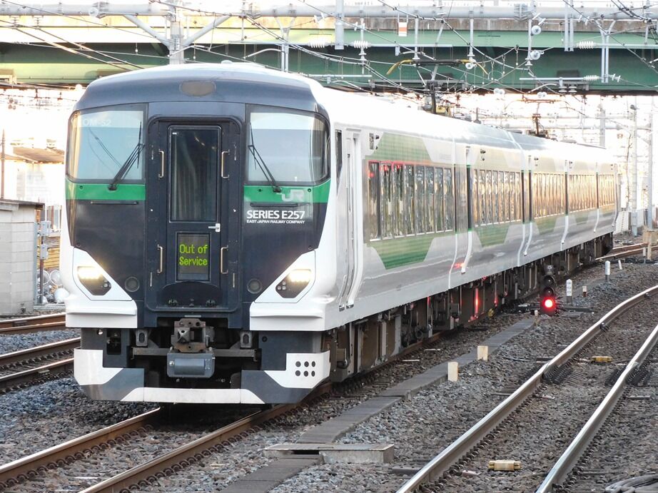 常磐線（185系、四季島、E657系紅）＋宇都宮線・高崎線（E655系、E257系OM-52） - 令和5年2月 : 深徒徒