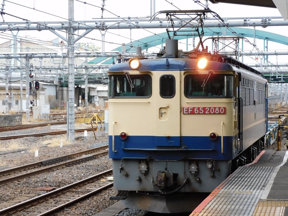 EF65形電気機関車（2101・2060）＋キヤE195系 - 令和5年1月 : 深徒徒