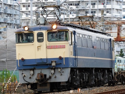 EF65形電気機関車（EF65-2139・EF65-2101）＋キヤE195系オクST-18編成 - 令和4年9月 : 深徒徒