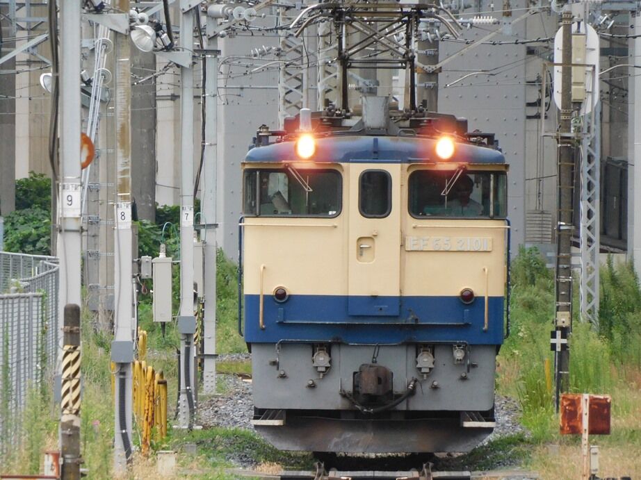 EF65形電気機関車（EF65-2139・EF65-2101）＋キヤE195系オクST-18編成 - 令和4年9月 : 深徒徒