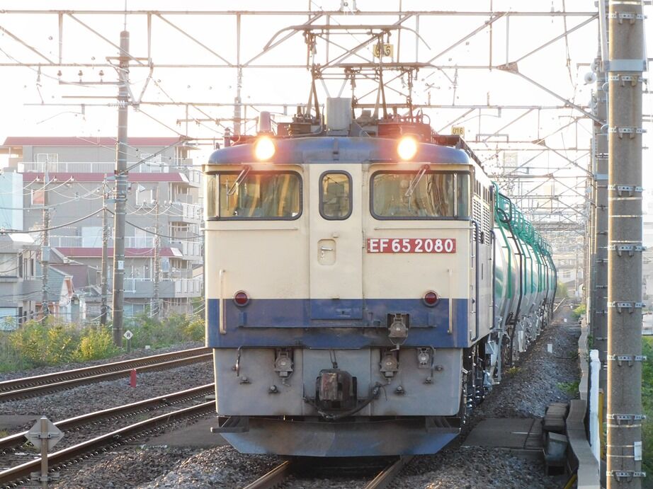 EF65形電気機関車（2090・2060）＋EF66形電気機関車（119）＋あかぎ号 - 令和5年10月 : 深徒徒