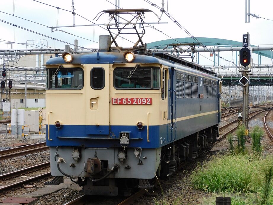 EF65形電気機関車＋EF81形電気機関車（配給輸送） - 令和4年9月 : 深徒徒