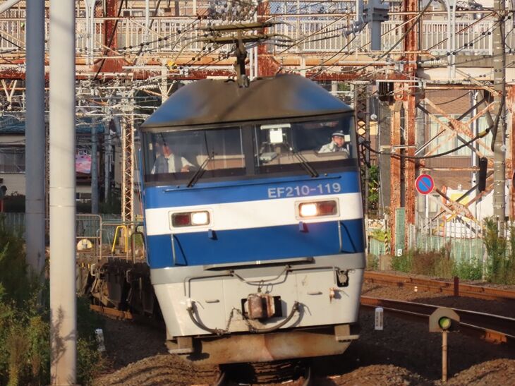 EF66形電気機関車（121）＋EF210形電気機関車（162・119）＋E653系国鉄色（鎌倉）＋さくら号 - 令和6年11月 : 深徒徒