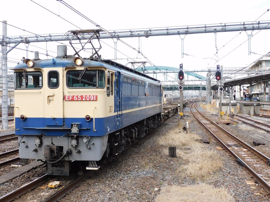 EF65形電気機関車（EF65-2127）＋オムライストレイン - 令和5年3月 : 深徒徒