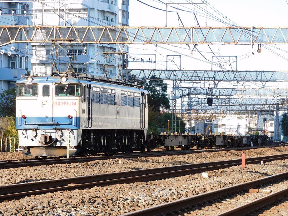 EF65形電気機関車＋EF81形電気機関車（139）＋キヤE195系 - 令和4年11月 : 深徒徒