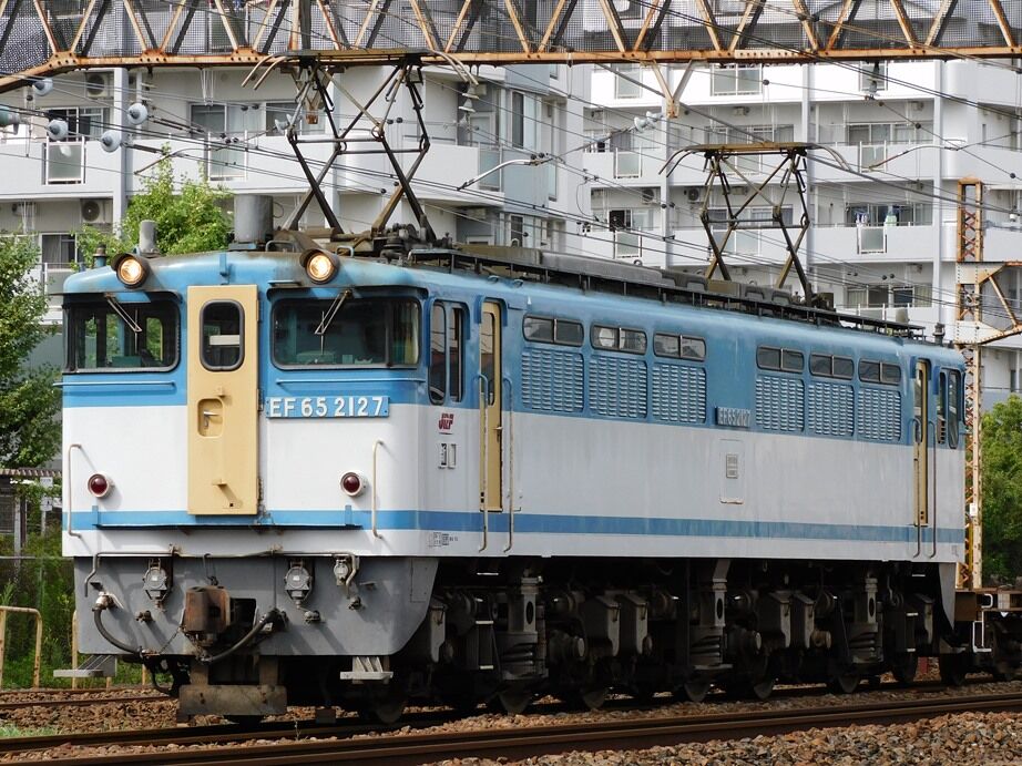 EF65形電気機関車（カラシ）＋485系華＋キヤE195系 - 令和4年8月 : 深徒徒