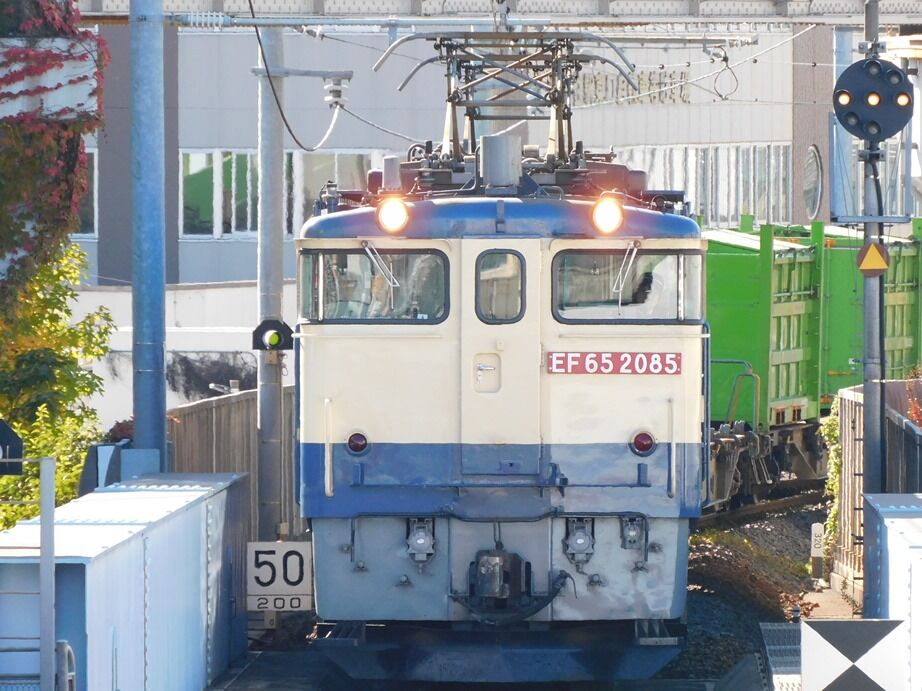 EF65形電気機関車＋EF81形電気機関車（139）＋キヤE195系 - 令和4年11月 : 深徒徒