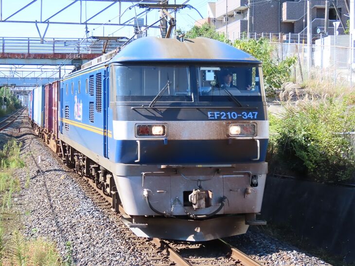 常磐線（E653系水色・E657系黄・E657系緑・E657系橙）＋流鉄流山線（おおたか君）＋武蔵野線 - 令和6年11月 : 深徒徒