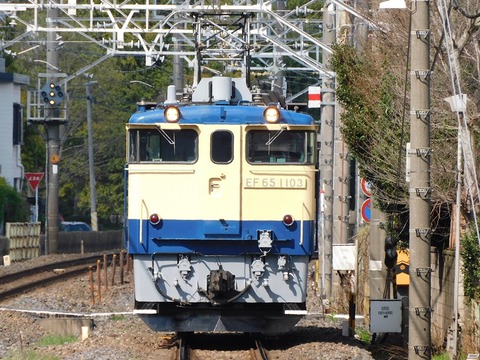 EF65-1103（白岡試単）＋キヤE195系オクST-9編成（乗務員訓練） - 令和5年3月 : 深徒徒
