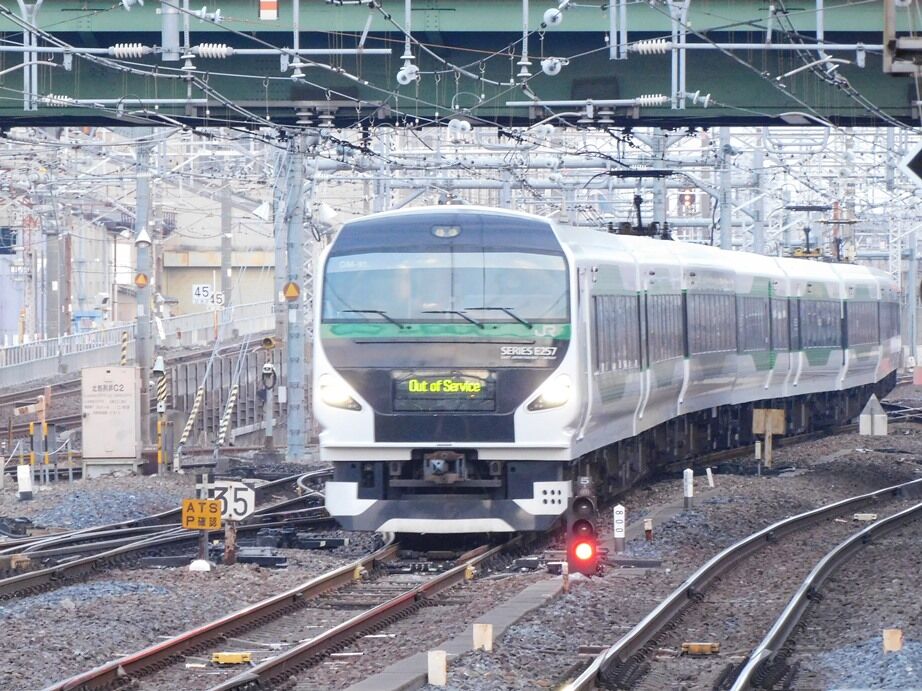 常磐線（E657系緑）＋宇都宮線・高崎線（185系・E491系） - 令和5年2月 : 深徒徒