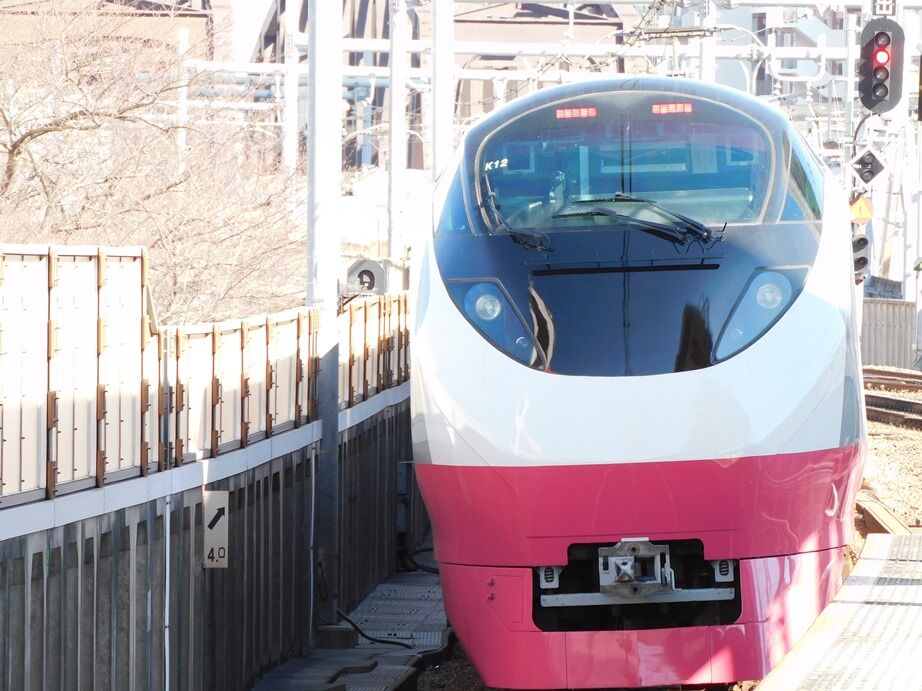 常磐線（185系、四季島、E657系紅）＋宇都宮線・高崎線（E655系、E257系OM-52） - 令和5年2月 : 深徒徒