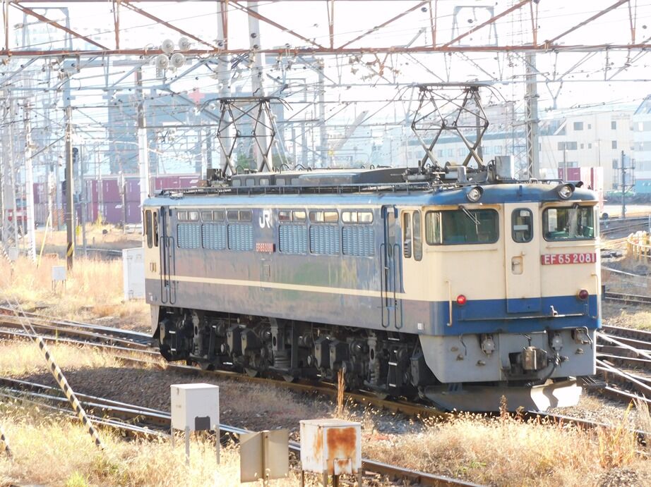EF65形電気機関車（2081・2085）＋桃太郎＋キヤE195系 - 令和5年12月 : 深徒徒