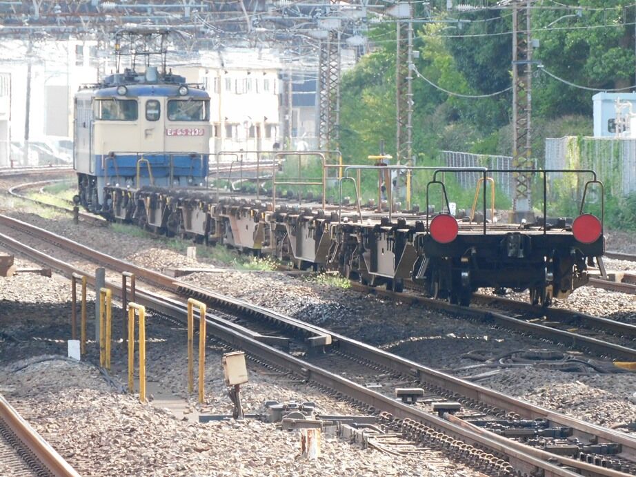 EF65形電気機関車（EF65-2139・EF65-2101）＋キヤE195系オクST-18編成 - 令和4年9月 : 深徒徒