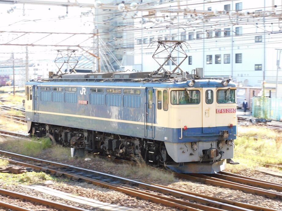 EF65形電気機関車（2080・2060）＋EF66形電気機関車（124）＋若葉号 - 令和5年10月 : 深徒徒