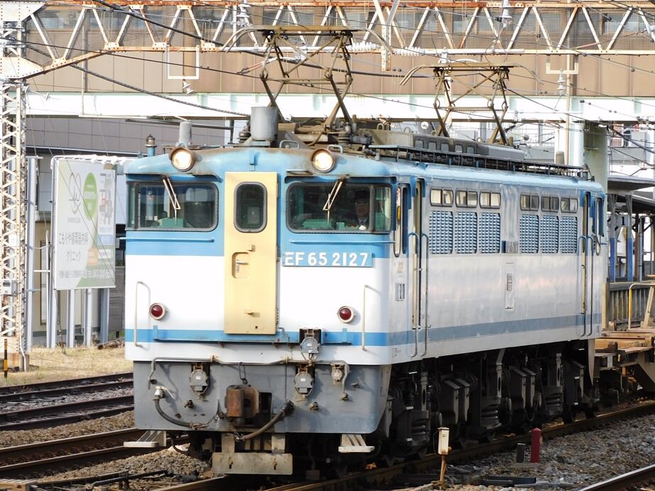 EF65-2127＋EF81-139 - 令和4年11月 : 深徒徒