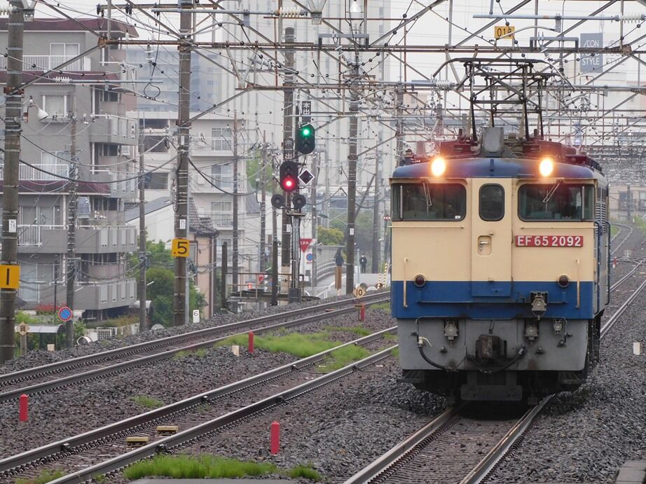 EF65形電気機関車＋キヤE195系 - 令和4年6月 : 深徒徒