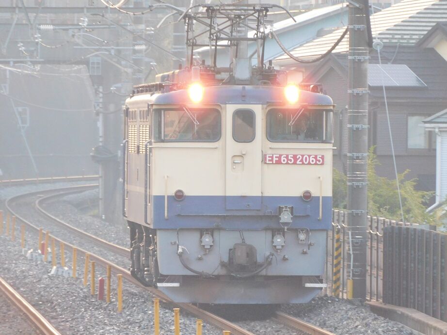 EF65形電気機関車＋E653系＋B.B.BASE＋キヤE195系 - 令和4年10月 : 深徒徒