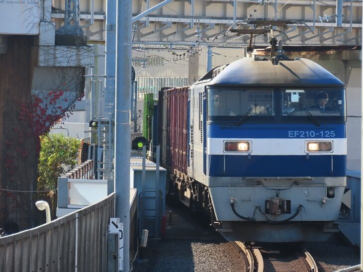 EF66形電気機関車（131）＋EF210形電気機関車（125・164）、DD51形ディーゼル機関車（DD51-895＋DD51-842＋E26系） - 令和6年12月 : 深徒徒