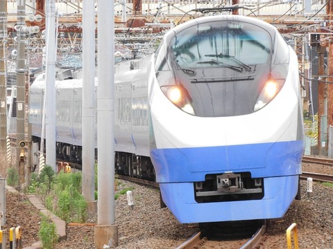 常磐線（E657系青・E657系橙・赤電・ヨ8629・鉄道クレーン車・E491系）＋総武本線（B.B.BASE手賀沼） - 令和6年5月 : 深徒徒