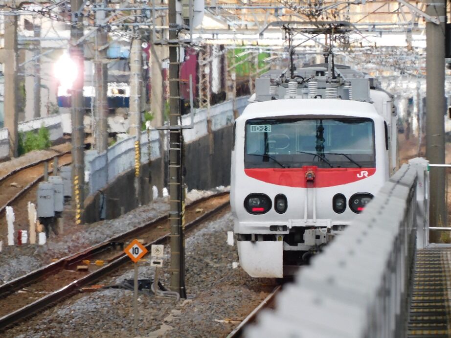 EF81形電気機関車（神立試単）＋E491系（マヤ50）＋キヤE195系レア - 令和4年9月 : 深徒徒