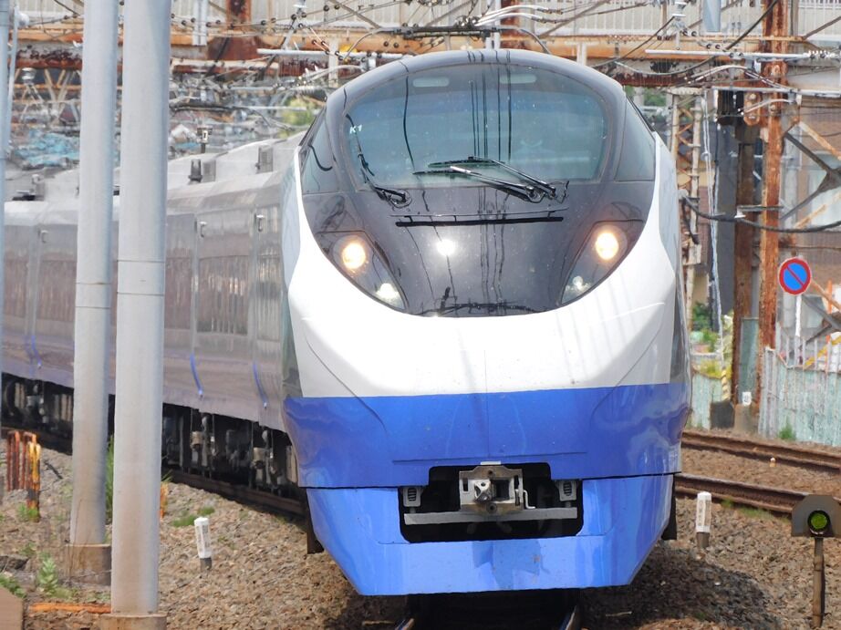 常磐線（E657系青・E657系紅・E657系黄・E653系）＋宇都宮線・高崎線（185系）＋武蔵野線（E257系OM-51・E257系OM-92） - 令和5年6月 : 深徒徒