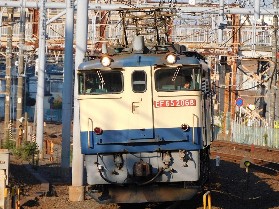 EF65形電気機関車＋E653系＋B.B.BASE＋キヤE195系 - 令和4年10月 : 深徒徒