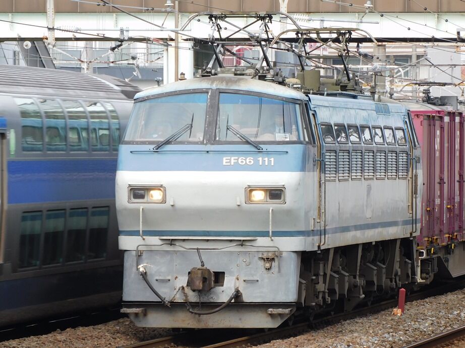 常磐線（E657系緑）＋宇都宮線・高崎線（185系・E491系） - 令和5年2月 : 深徒徒